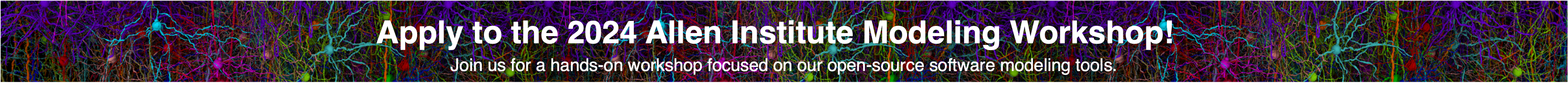 Computational Modeling & Theory - brain-map.org