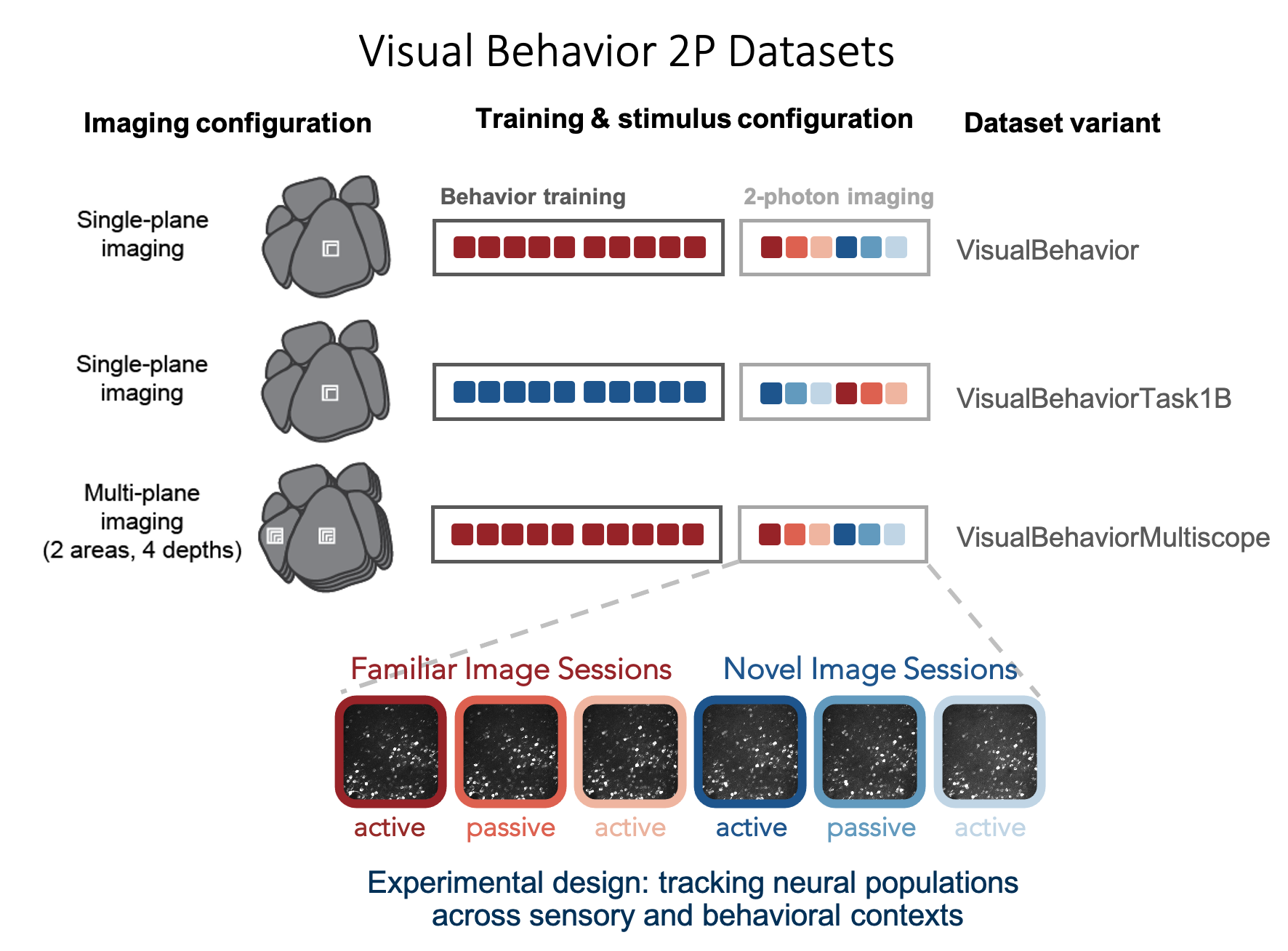 Visual Behavior - 2p - brain-map.org